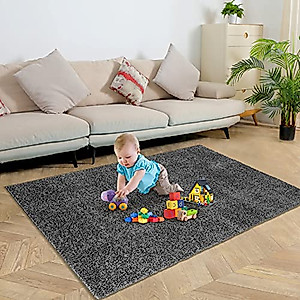 COZYLOOM Large Shag Area Rug, 9 x 12 Luxury Soft Shaggy Rug, Plush Fluffy Indoor Floor Carpet Cozy Solid Modern Rug Anti-Skid Bedroom Floor Cover Living Room Nursery Throw Carpet Dark Grey