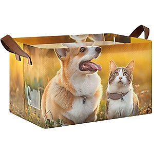TSENQUE Dog Corgi Cat Field Cute Open Fabric Storage Bin Folding Decorative Organizer Baskets Animal Floral Shelf Organizer Bins for Towels, Books, Clothes, Toys, 16.9x11.4x10inch