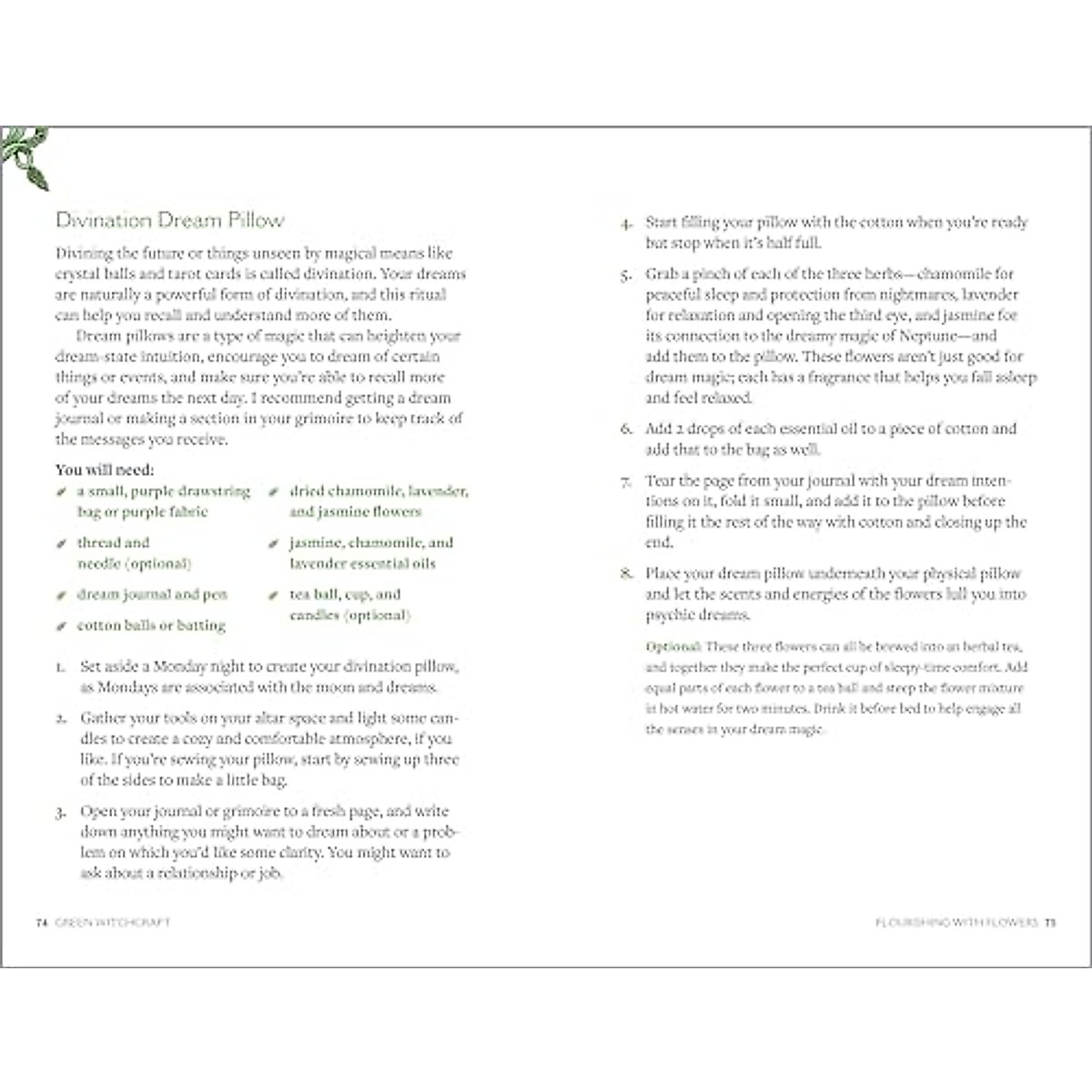 Green Witchcraft: A Practical Guide to Discovering the Magic of Plants, Herbs, Crystals, and Beyond (Practicing Green Witchcraft)