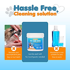 OOHAYA 3-in-1 Pet Finger Wet Wipes for Dogs & Cats, Soft Disposable Finger Wipes for Eye, Ear, & Dental Care, Freshen Breath with Dental Finger Wipes, Pack of 50