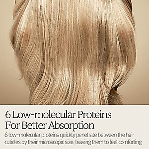 Nard Shampoo and Conditioner Set Signature 33.8 Fl Oz - Strong Vitality from Himalayas - Natural Surfactants giving Soft Cleansing - Argan Olive Jojoba Macadamia Sunflower Oil, Protein, Amino Acids