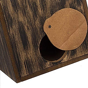 Topadorn Wooden Bird House Hanging Outdoor,Eco Friendly Materials and Decorative with Bird Printed