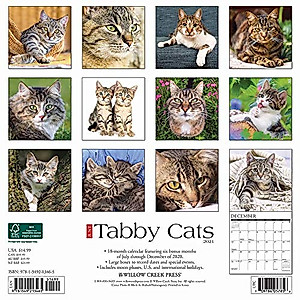 Just Tabby Cats 2021 Wall Calendar