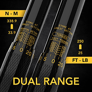 LEXIVON 1/2-Inch Drive Click Torque Wrench 25-250 Ft-Lb/33.9-338.9 Nm (LX-184)