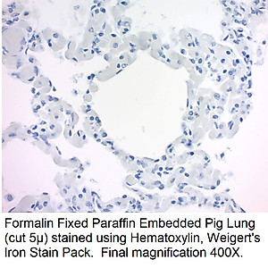 Hematoxylin, Weigert's Iron Stain Pack, 500ml
