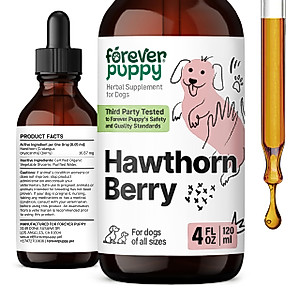Hawthorn Berry Tincture for Dogs - Herbal Heart Supplements - Antioxidant w/Hawthorn Berry for Dogs - Liquid Dog Food Supplements for Happy Pets - No Preservatives & Artificial Colors - 4 oz