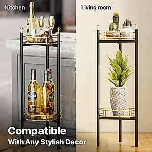 BENOLDY 2 Tier Plant Stand Table - Black Metal Frame with 2 Portable Golden Plate Tray, Plant Holder Stand, Serving Cart Tray and Wine Rack, Indoor/Outdoor Plant Shelf, Plant Pot Stand