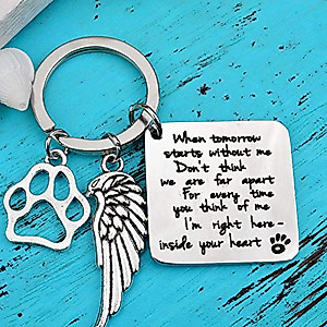 ShiQiao Spl Pet Bereavement Memorial Remembrance Gift - When Tomorrow Starts Without Me Paw Prints Keychain Dog Cat Loss Gifts for Pet Owner Sympathy Gifts