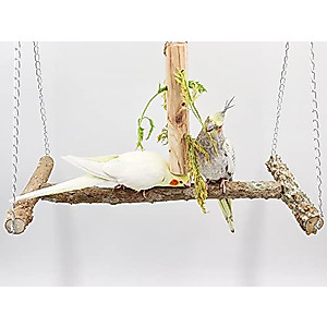 Large Bird Perch Swing Toy, Natural Pepper Wood Parrot Perch Stand Toy, Hangable Birdcage Accessories with Stainless Steel, Bird Chewing Toy for Parrot Parakeet Budgies Lovebirds(18×10 Inches(L×W))