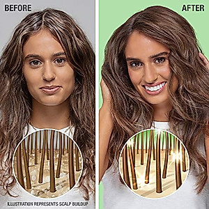 Neutrogena Soothing & Calming Healthy Scalp Shampoo to Moisturize Dry Scalp & Hair, with Tea Tree Oil, pH-Balanced, Paraben-Free & Phthalate-Free, Safe for Color-Treated Hair, 12oz