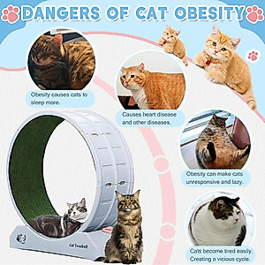 Cat Wheels for Indoor Cats, 31.5'' Cat Exercise Wheel, Cat Wheel with Brake, Removable Running Mat, Easy to Install,Cat Wheel Exerciser for Cat's Fitness & Health,Suitable for Most Cats (Blue)