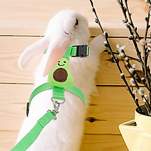 Ipetboom Bunny Harness and Leash: 1 Set Avocado Adjustable Small Pet Fruit Summer Outfit Costume for Rabbit Kitten Small Animal Hedgehog Ferret Piggies Squirrel Safety Walking Jogging
