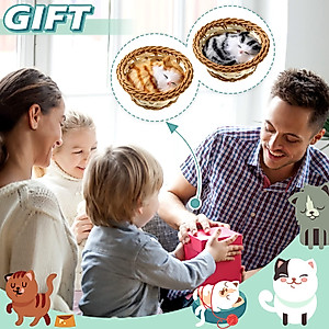 Civaner 4 Pcs Sleeping Cat in Basket Doll Toy Lovely Mini Kitten in Woven Realistic Fake Fluffy Hand Gift Plush Stuffed Decor with Meows Sounds for Office Desk Boys Girls