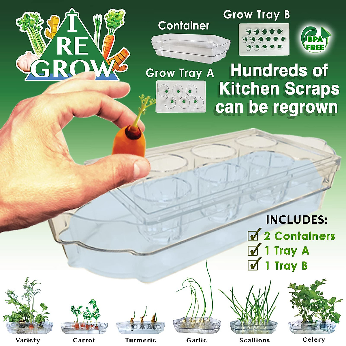 Indoor Gardening System/Small/No Electricity Needed/All Year Round/Hydroponic Growing The Easy Way/Propagate-Regrow in Your Kitchen/I Re Grow