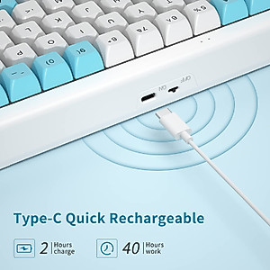 ROCHIE 60% Percent Keyboard, Wireless Gaming Keyboard, Gaming Keyboard 60 Percent, 2.4G Computer Keyboard with Wrist Rest, Compatible with Mac OS and Windows for Laptop PC (White-2)