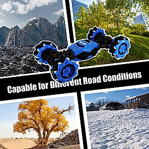 Lulu Home Remote Control Stunt Car, Hand Gesture Sensing RC Crawler, Stunt Twisting Climbing Vehicle Boy Toy Car with Four-Wheel Drive, Birthday for Kids