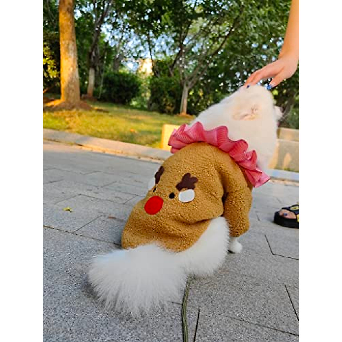 YiQ RiC Christmas Dog Clothes Dog Christmas Jacket Dog Cold Weather Coats New Year Clothes for Dog Pet Shirt Cat Shirt Breathable Puppy Vest Printed Snowman Reindeer Santa Claus Soft Outfit