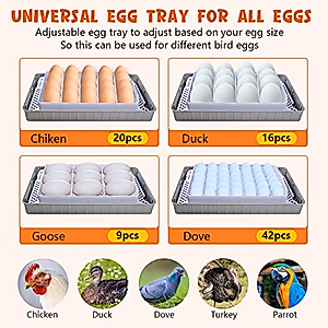 Incubators for Hatching Eggs, 20 Egg Incubator with Temperature & Humidity Display, Automatic Egg Turner and Water Adding, Temperature Control, with LED Egg Candler, for Hatching Chickens, Duck, Quail