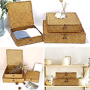 Hipiwe Flat Seagrass Storage Basket Bins with Lid - Set of 3 Wicker Baskets Bins Rectangular Woven Baskets Box Home Organizer Bins for Shelf Organizing, Large Size 14.8"x13"