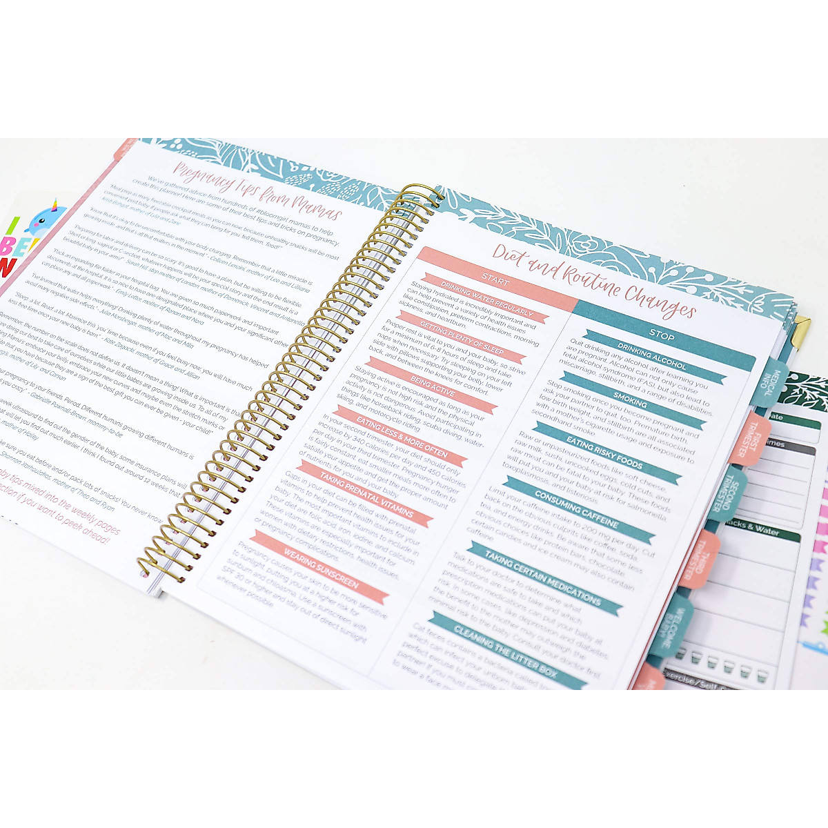 bloom daily planners New Pregnancy and Baby's First Year Calendar Planner & Keepsake Journal with Stickers - Hardcover Scrapbook Memory Book Organizer - Undated - 8” x 10" - Green & Pink