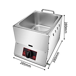 Large Capacity Countertop LPG/Gas Fryer, Commercial Stainless Steel Gas Fryer, for French Fries Turkey Donuts Home Kitchen Restaurant (Size : 10L)