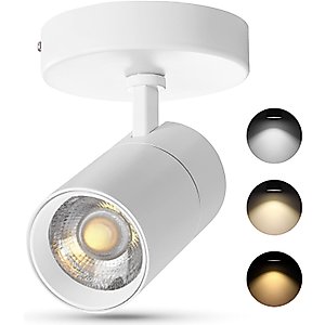VANoopee 12W Low Voltage Landscape Lights 12V Outdoor Landscape Lighting LED Spot Lights Outdoor Waterproof with Stake Uplight Tree Yard Flag Garden Patio Warm White 1000lm(10 Pack with Connectors)
