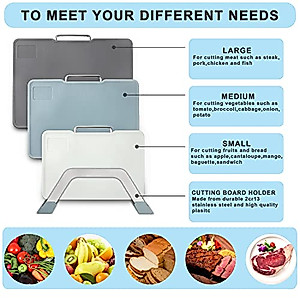 FIVETAS cutting boards for kitchen dishwasher safe,set of 3 with holder,plastic cutting boards with Easy-Grip Handles.GARLIC GRINDING AREA. BPA Free, Non-porous Non-Slip Feet