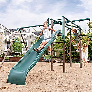 Lifetime 91028 Monkey Bar Adventure Swing Set, Earthtone