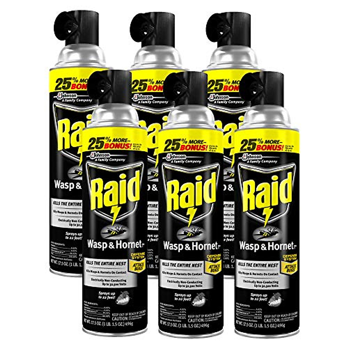 Raid Wasp and Hornet Killer (17.5 OZ Pack - 6)