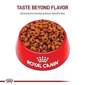 Royal Canin Large Aging 8+ Senior Dry Dog Food, 30 lb bag