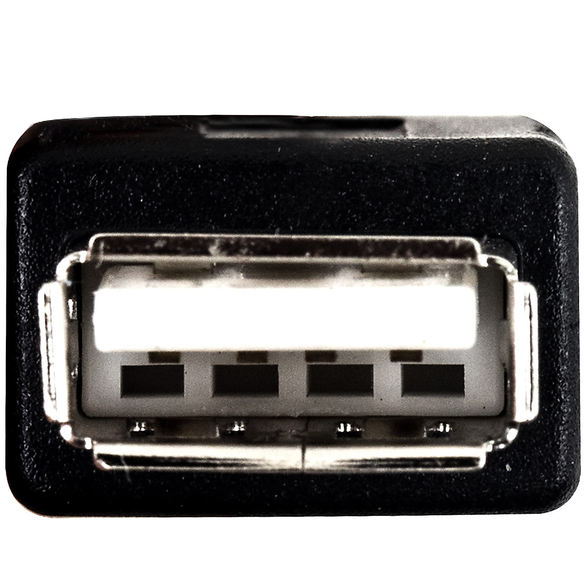 risingsaplings PC Female USB Converter Adapter Cable Cord for Original Xbox Console Gen.1 Console About 30.5in Length (1 PCS)