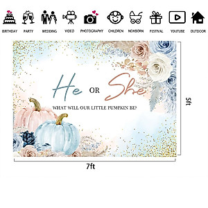 Lofaris Pumpkin Blue or Pink Gender Reveal Backdrop Fall Theme He or She What Will Little Pumpkin Be Banner Party Decorations Photography Background Pregnancy Reveal Party Photoshoot 7x5ft