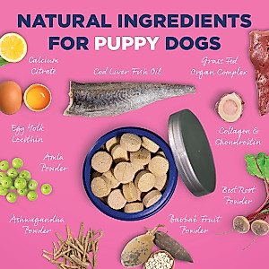 Vetericyn All-in 1 Multifunctional Puppy Supplement | Digestive Enzymes + Antioxidant Immune Support for Puppies + Vitamins, Minerals, Prebiotics, Probiotics, and Omegas. 90 Count