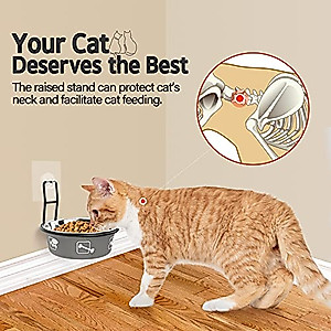 Torlam Elevated Cat Bowls, Wall Mounted Cat Food Dish, Raised Cat Food and Water Bowls, Stainless Steel Elevated Pet Bowls with Stand, Nonslip No Spill Pet Feeding Bowls (2 Packs) (Grey)