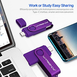 Wansenda 128GB USB C Flash Drive, 2 in 1 USB 3.0/3.1 Type C Thumb Drive Photo Memory Stick for Android Phones/Tablet/PC/Mac (128GB, Blue)