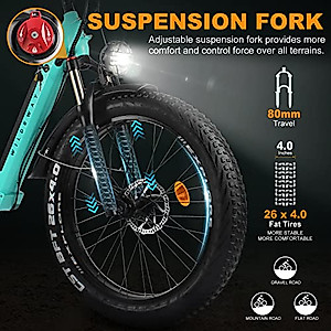 Wildeway Electric Bike Cruiser City Step-Thru Bicycle 750W Motor 26" x 4.0" Fat Tire Ebikes for Adults with 48V 15Ah Removable Battery Hydraulic Disc Brake 30MPH Shimano 7 Speed Gear