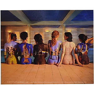 C&D Visionary Pink Floyd Back Catalogue Sticker Childrens Arts & Crafts Adhesives