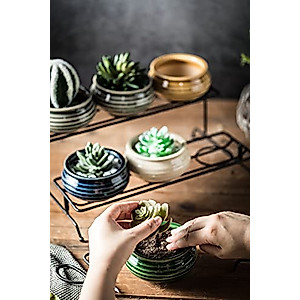 Succulent Plant Pots Stand 6pcs Indoor Plants Live 2 Tier Decorative Ceramic Small Plant Pots with Stand Holder Mini Flower Pots Gifts for Plant Lovers Home Office Desk Garden Mini Cactus Pot