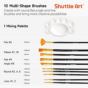 Shuttle Art 30 Colors Metallic Acrylic Paint, Metallic Acrylic Paint with 10 Brushes and 1 Palette, 60ml/2oz, Rich Pigments, Non-Toxic Art Paint for Artists, Beginners on Rocks Canvas Wood Fabric