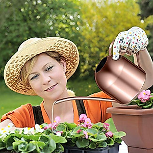 YARDWE 1000ml Stainless Steel Watering Can Plant Watering Can with Long Spout Small Size for Home Garden Office Bonsai Indoors and Outdoors