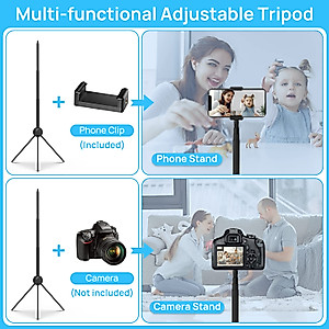 Ring Light with Stand and Phone Holder, 14" Selfie Lights 77" Tall Tripod with Remote Compatible with iPhone Phone LED Halo Standing Lighting for Makeup TikTok YouTube Camera Photography Zoom Videos