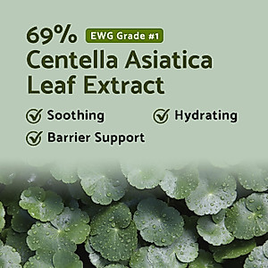 IUNIK Centella Bubble Foaming Vegan Facial Cleanser - 69% Centella Asiatica Extract, Soothing, Moisturizing, Exfoliating, Removes Pore Blackheads, Whiteheads, 5.07 Fl Oz