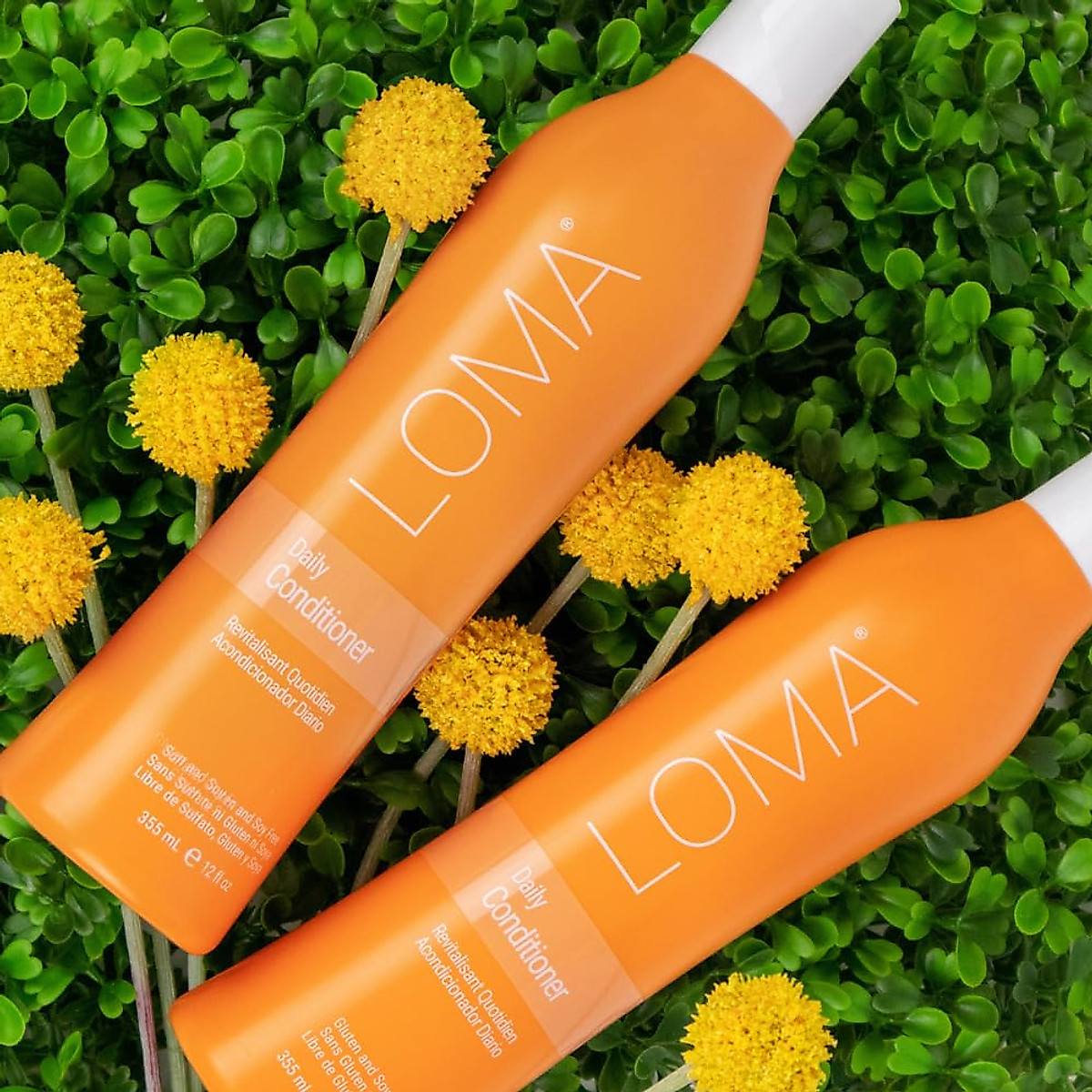 LOMA Daily Conditioner 12 Ounce