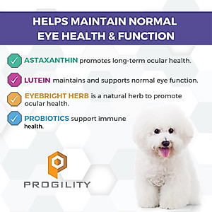 Nootie Progility Tear Stain Supplement for Dogs, Advanced Eye Health Formula, Helps Minimize Tear Stains, 80 Chews, Sold in Over 10,000 Vet Clinics and Pet Stores Worldwide