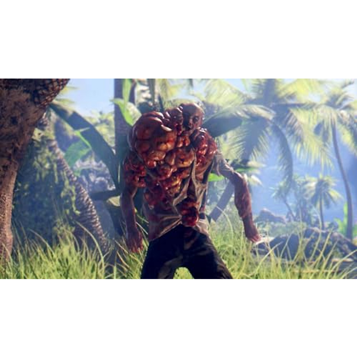 Dead Island Definitive Collection Edition (PS4)