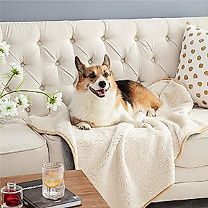 Bedsure Waterproof Dog Blankets for Small Dogs - Small Cat Blanket Washable for Couch Protection, Sherpa Fleece Puppy Blanket, Soft Plush Reversible Throw Furniture Protector, 25"X35", Grey