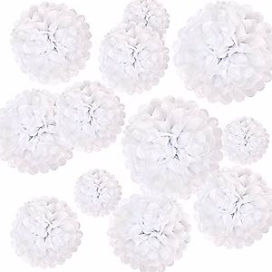 ANSOMO White Tissue Paper Pom Poms Flowers Party Decorations 12" 10" 8" 6" Pack of 12