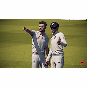 Cricket 19 - The Official Game of the Ashes - PlayStation 4 (PS4)