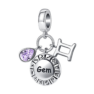 DWJSu 12 Zodiac Sign Constellation Charms fit Pandora Birthstone Charm Bracelet and Necklace Horoscope Astrology Friend Bead Birthday Gift