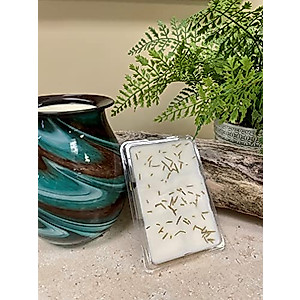 Swan Creek Drizzle Melt Spa Day